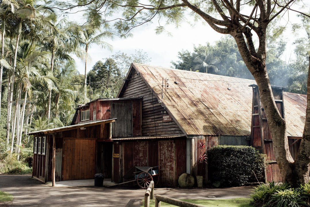 Styled Shoot – Blossie